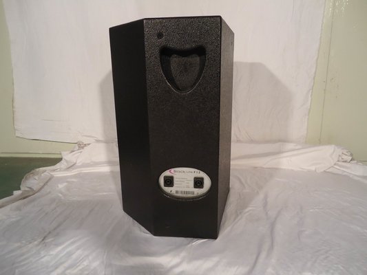 PS12 escogen 12 SPL sano del DB del sistema 100 del refuerzo de la pulgada con el RMS 400 vatios
