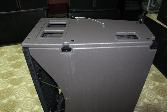 Altavoces amplificados sanos vivos de los altavoces/600W DJ de 12 pulgadas con SPL de 140dB max