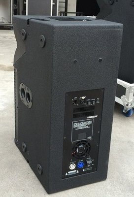 800W 12" línea accionada arsenal del PA del acuerdo activo del Presidente en gabinete de la madera contrachapada del abedul