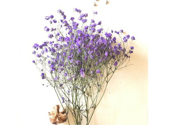 Decorative Pressed Wedding Bouquet , Dried Flower Bouquet True Plant For Dining Room