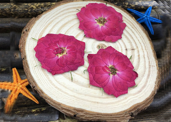 Red Rose Natural Dried Flowers Vacuum Packing Diameter 3 - 3.5CM For Wedding Decoration