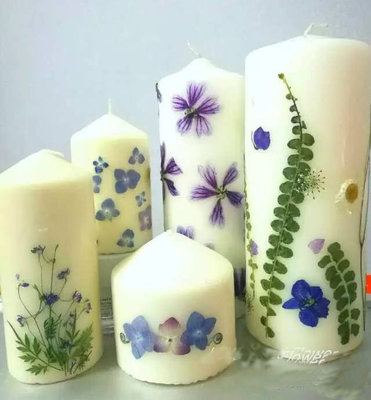 True Plant Colorful Preserving Pressed Flowers Candles Raw Material For Teaching