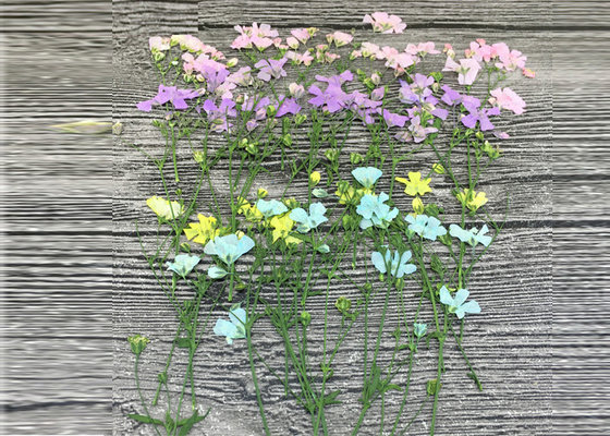Decorative Accessories Small Dried Flowers For Resin Epoxy Craft Bookmark