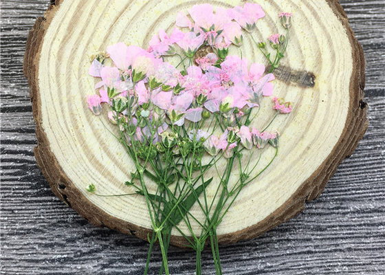 Decorative Accessories Small Dried Flowers For Resin Epoxy Craft Bookmark