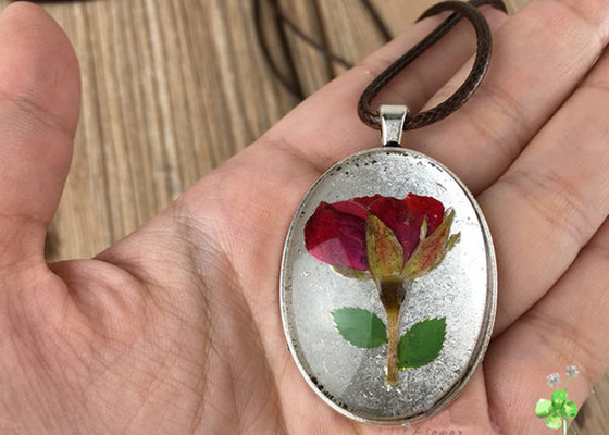 Home Decoration Small Pressed Flowers , Pressed Flower Gifts For Necklace Accessories