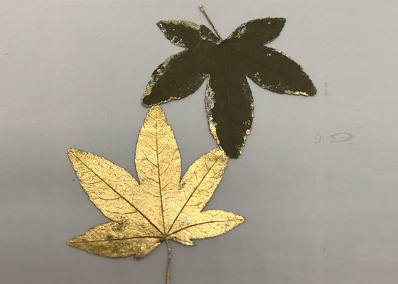 Maple Gold Dried Flowers , Large Dried Flowers For Wooden Photo Frame Ornament