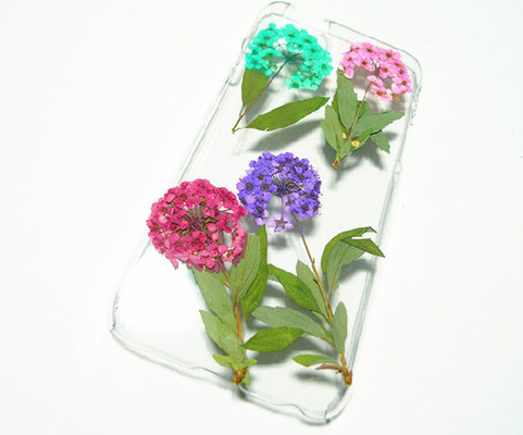 Dried Pink Flowers Narcissus With Stem , Pressed Flower Ornaments For Cell Phone Beautify