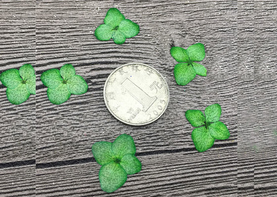 Small Hydrangea Pressed Flowers Diameter 1.5CM For Art Paper Ornaments Material