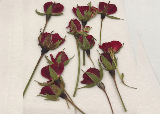 Rose Bud Small Dried Flowers 1.5CM Head Raw Material For Candle Beauty