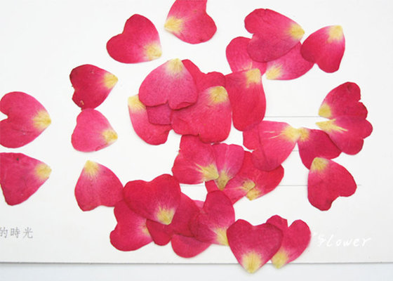 Red Rose Petal Real Dried Flowers Diameter 1CM For Wedding Card Decoration