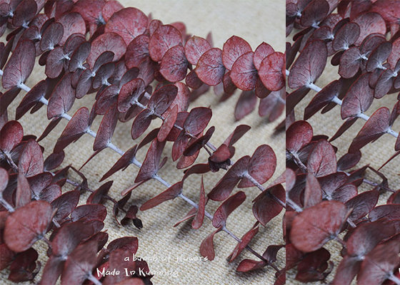 Decorative Pressed Plant Art , Dried Eucalyptus Leaves For Anniversary Party