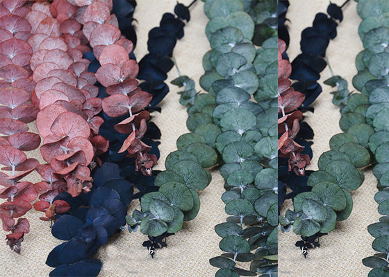 Decorative Pressed Plant Art , Dried Eucalyptus Leaves For Anniversary Party