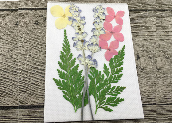 Mixed Package Pressed Flower Bouquet Plant Material For Candle Decoration