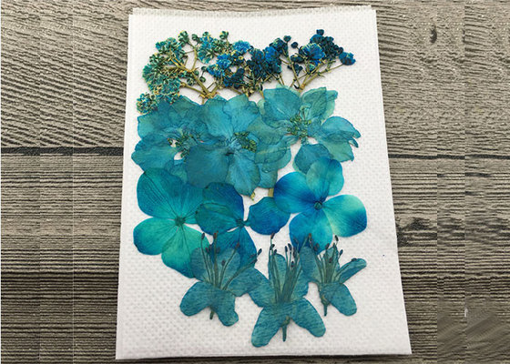Leaf Combination Dried Wildflower Bouquet For Children 'S Manual Activity