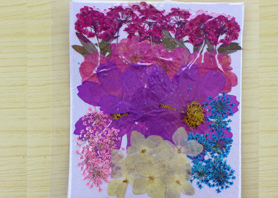Flowers / Leaf Pressed Flower Bouquet Candle Ornaments For Manual Activity Stuff