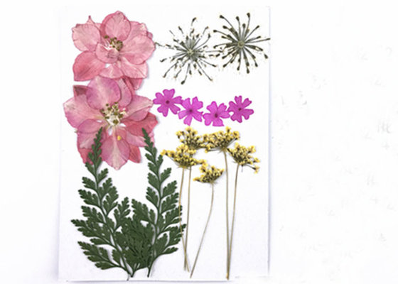 Dried Flower Wedding Bouquet Aromatherapy Candle Wax , Plant Specimens Dried Bridal Bouquet