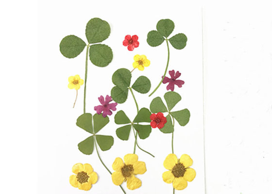 Raw Material Pressed Flower Bouquet Candle Ornaments For DIY Accessories
