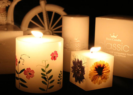 Teaching Specimens Pressed Flower Gifts Round Shape For Wedding Decoration