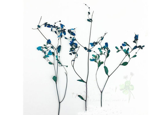 Raw Material Leaf Dried Flower Crafts Colour Optional For Candle Beauty Ornaments