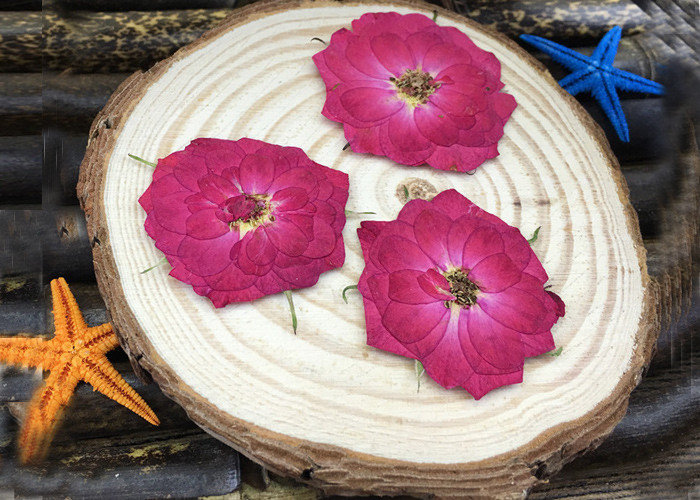 Red Rose Natural Dried Flowers Vacuum Packing Diameter 3 - 3.5CM For Wedding Decoration