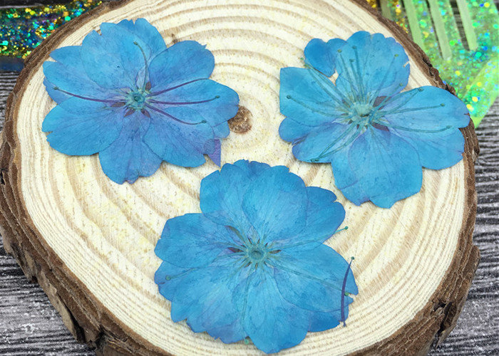 Grade A Framed Pressed Flowers For Chinese Style Gift / Blank Bookmarks