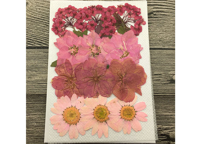 Fashion Pressed Flower Bouquet Home Ornaments For Manual Activity Material