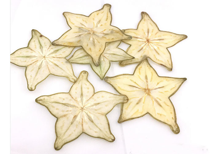 True Fruits Dried Flower Petal Crafts For Kindergarten Teaching Specimens