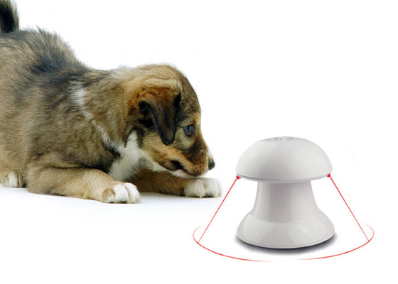 4 Time Setting Interactive Cat Exercise Toys , Double Automatic Laser Cat Toy