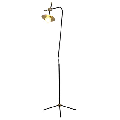 Modern Designer Standing Floor Lamp for Living Room supplier