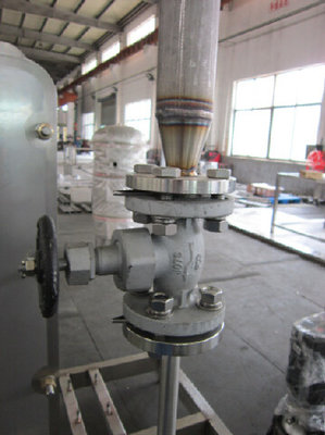 CSD Orange Mango Apple Pear Strawberry Peach Fruit Juice Plant Parts