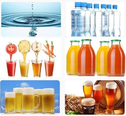 Mesh Belt Conveyor Industrial Vegetable Processing Machinery
