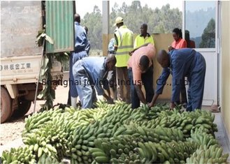 Pomegranate Fruit Processing Line , automatic liquid filling machines Turn key project