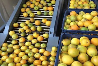 High Capacity 800m2 Juice Concentrate Equipment Processing Plant