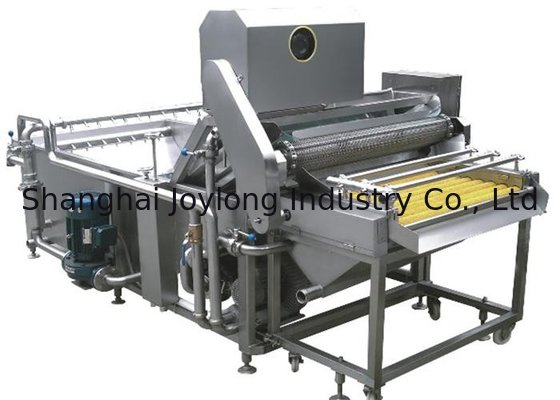 Turn Key Project Peach Fruit Processing Line Aseptic Package