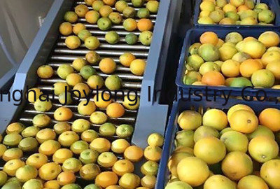 High Capacity 800m2 Juice Concentrate Equipment Processing Plant