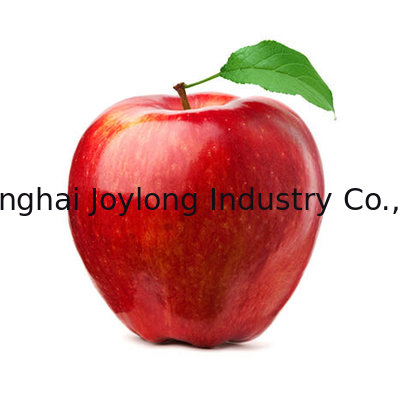 Automatic Fresh Fruits Pulping Equipment Fruit Processing Machine High Efficiency
