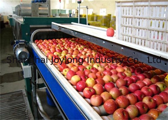 High Speed Vegetable and Fruit Processing Machine / Apple Juice Making Machinery