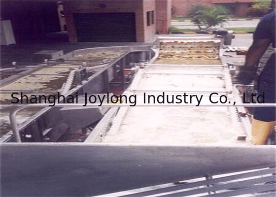High Efficiency Complete Industrial Fruit Processing Line with Fresh Fruits Preparation Section