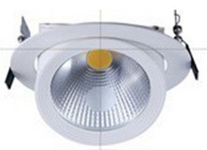 1600Lm Adjustable 15W LED downlights 220V Spotlight Ceiling Lights.