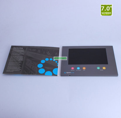 provide newest 7"  video game blue book with 1GB memory USB for product description