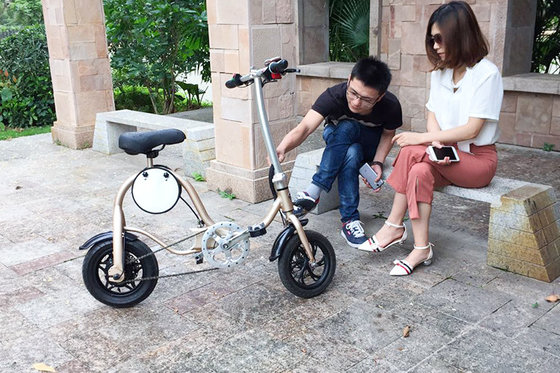 12  Inch Lithium Battery Powered Mini Electric Bicycle With Portable Collapsible Frame