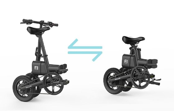 Strong Frame Electric Battery Powered Bike With 250W Brushless Gear Motor