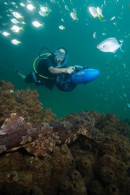 Funny Aqua Ranger Electric Powered Sea Scooter / Water Scooter For Diving
