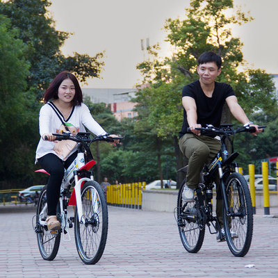 High Speed Folding Electric Bike Sport Disc Brake 6061 Aluminum Alloy With LCD Display