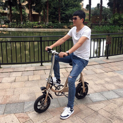 Aluminum Material Folding Electric Mountain Bike LED Display Lithium Battery