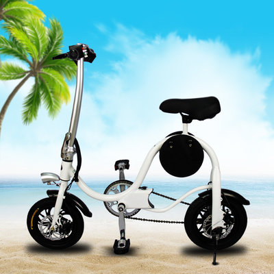 YT Folding Electric Bike 14 inch Disc brake Advanced Model with LCD Display