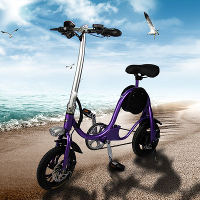 Lithium Ion Battery 36v Fold Up Electric Bike, 14 Inch Folding Electric Bicycle
