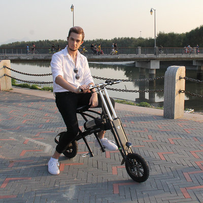 250W Folding Electric Bike / Bicycle 12 Inch 36V With CE / EN15194 Certification