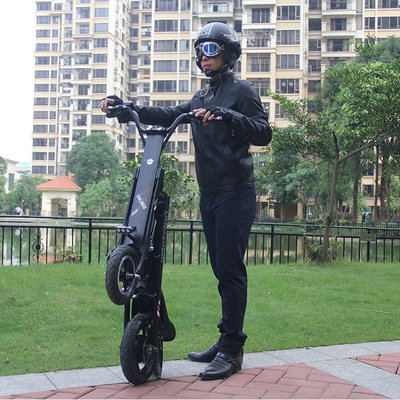 Disc Brake Electric Folding Bike Lightweight 250W 36V Coldplay Type Lithium Battery
