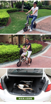Durable Folding Electric Bike 36V 250W Removable Battery Including Lights / Meters